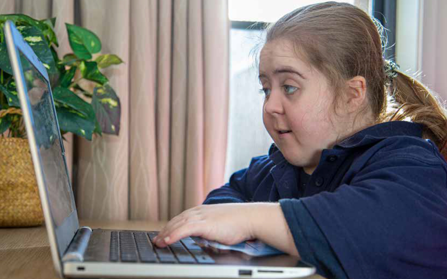 Organisation Use - Ability First Australia